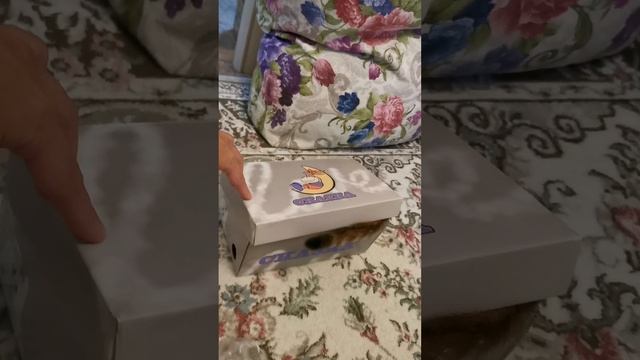 2021г. Слива в коробке