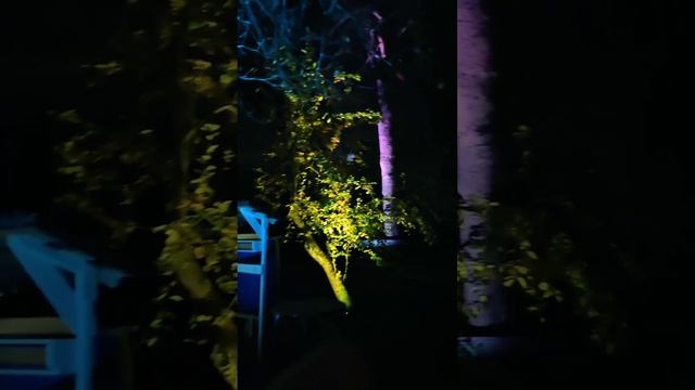 Обзор цвета свечения RGB светильников подсветки деревьев PRO-EXPERT Hugge