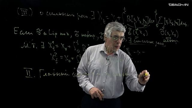 Веретенников А.Ю. -Теория стохастических дифференциальных уравнений - 16. Уравнения Маккина-Власова