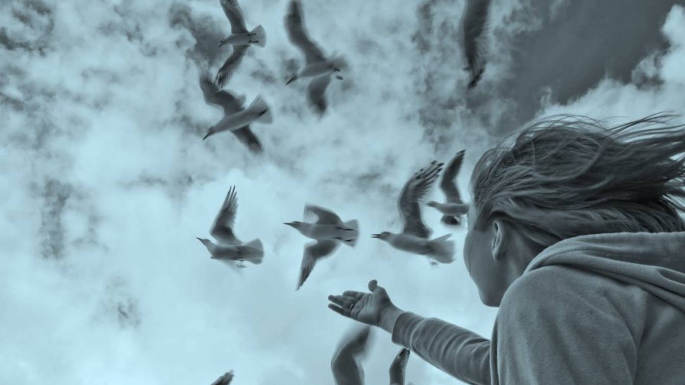 Слова и музыка— Елены Артёменко. Репетиция песни:"ОДИНОЧЕСТВО" Исполняет автор. Запись — 1994 год.