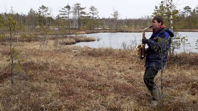 2020. Оркестр на болотах