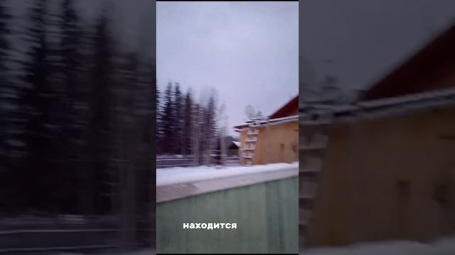 Ребята Якуты собираются на охоту  

#снегоход #снеготехника #отзыв #охота #рыбалка