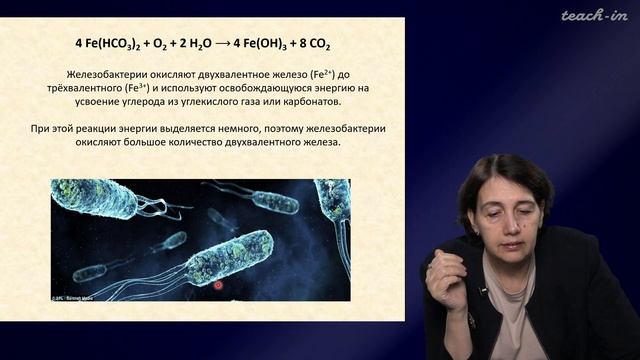 Тесакова Е.М. - Геологическая история Москвы и Подмосковья - 2. Научные факты и основные методы. Ч.2