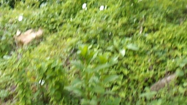 DSCN0638Отдых на море 2016  Турбаза Приморская