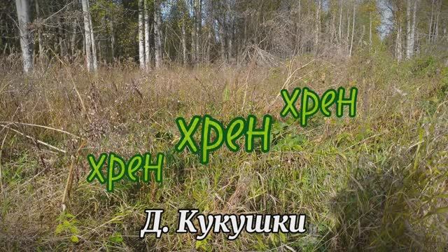 Деревня Кукушки, хрен.mp4