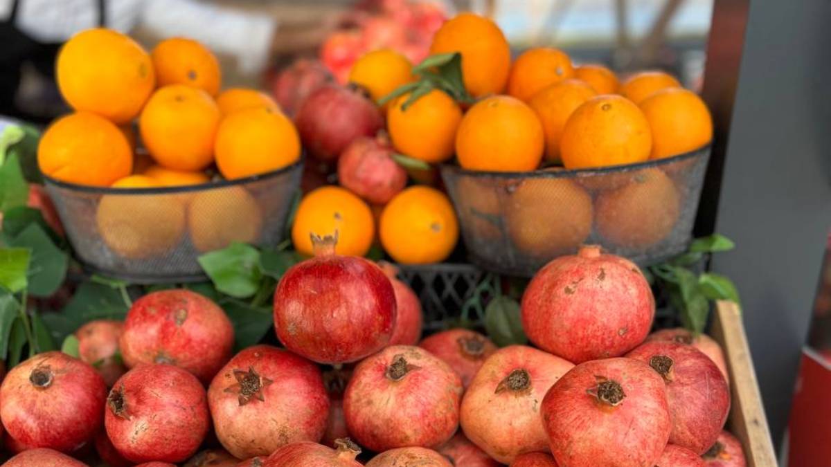 Наш последний день в январской Анталии ✌️