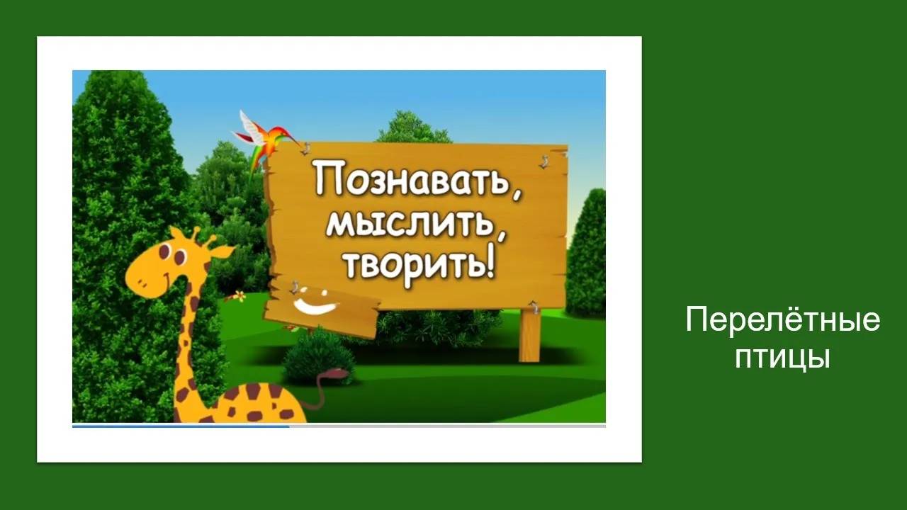 Перелётные птицы