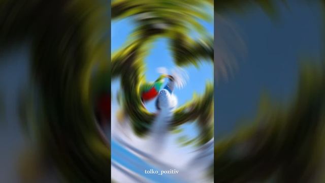 Любовь. Красота. Музыка.