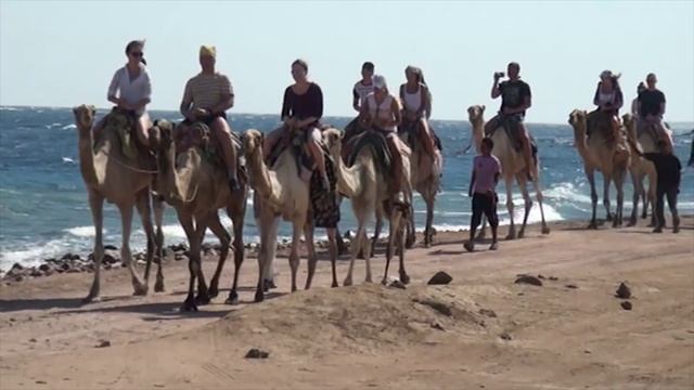 2014-10 - Египет