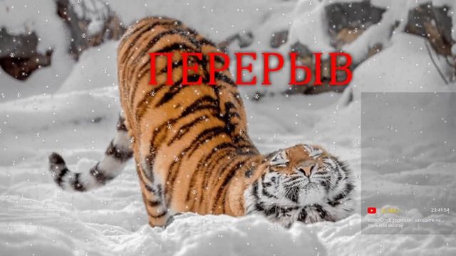 Прямая трансляция пользователя B_ABA_I