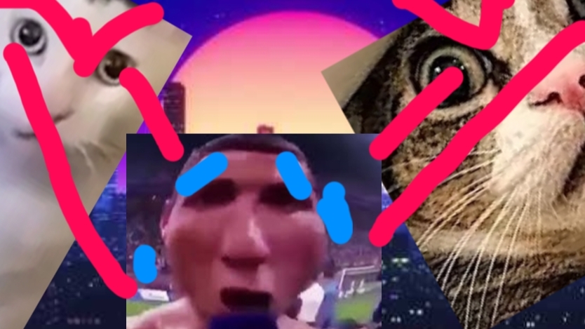 Коты против, мемов, 1 серия. Знакомство