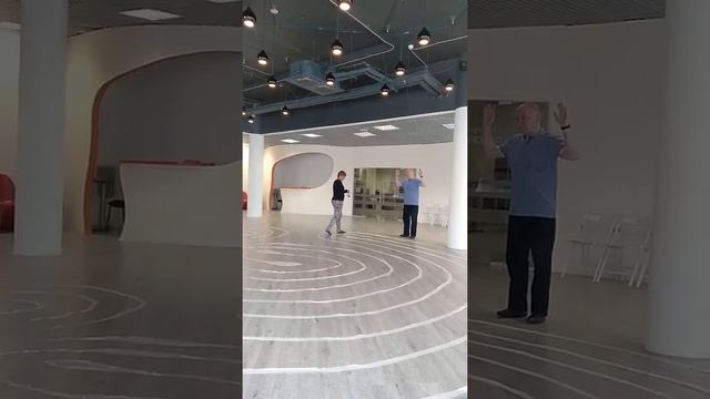 Вхождение в лабиринт на семинаре Владимира Ефимова #природа #узор #знания