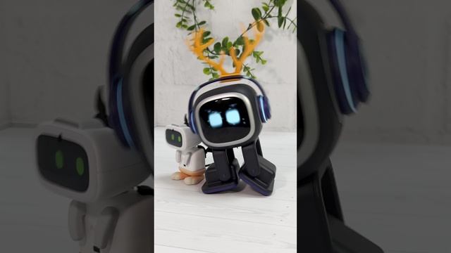 Emo избавляется от конкурента Aibi