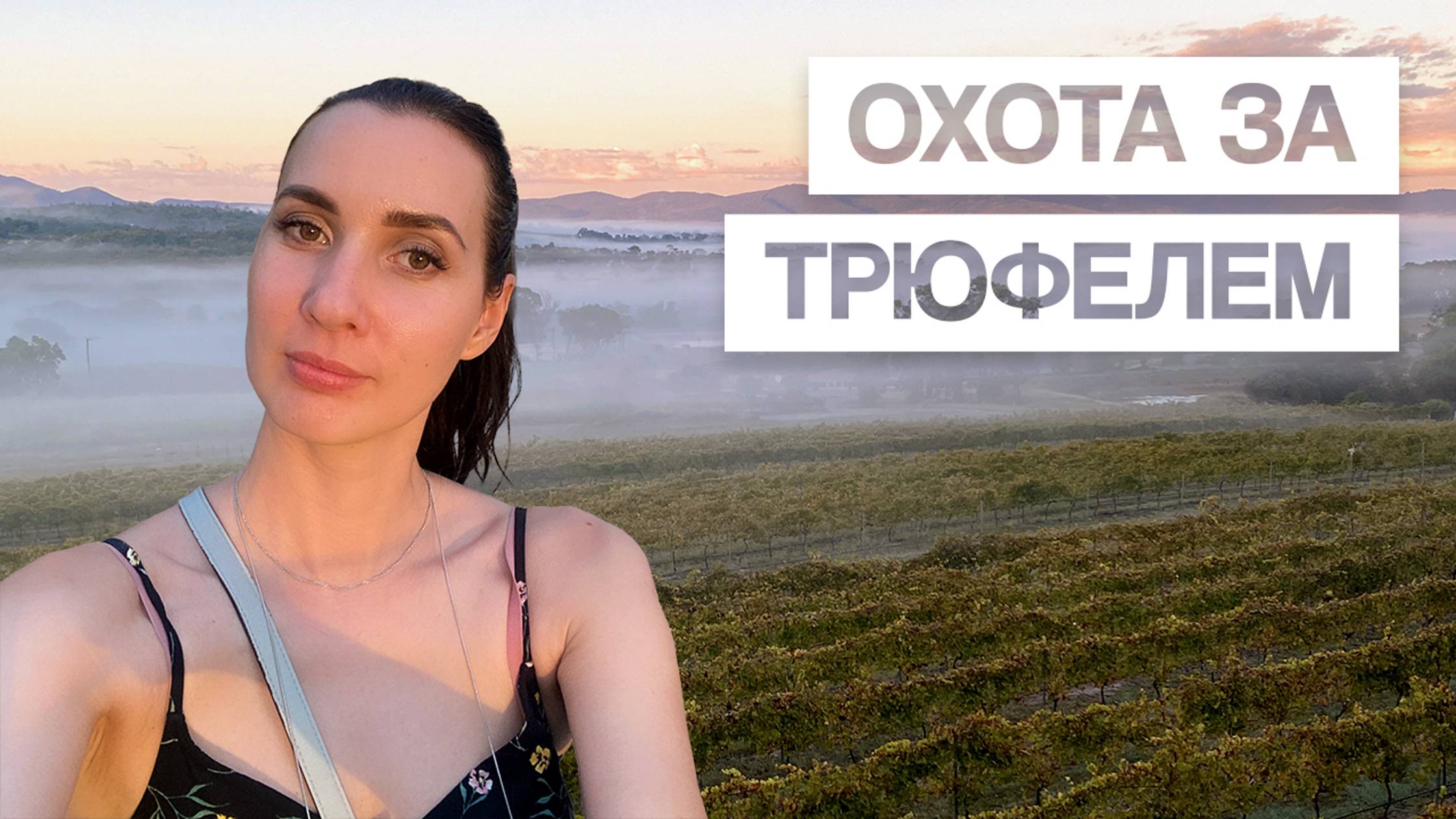 Почему ТРЮФЕЛИ такие ДОРОГИЕ? Собираем эти деликатесы на ферме в Австралии