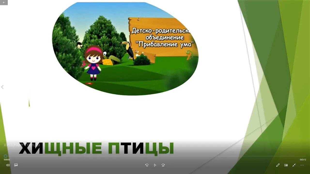 Хищные птицы