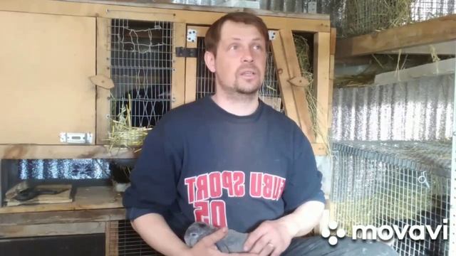 Нездоровая конкуренция.