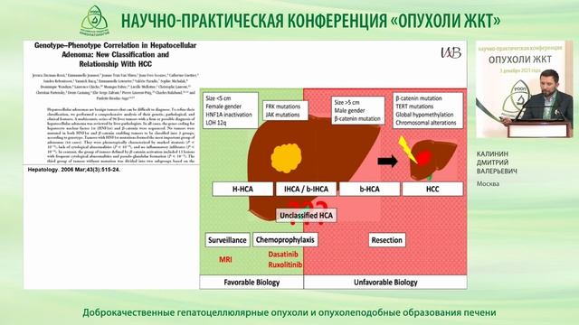 Доброкачественные гепатоцеллюлярные опухоли и опухолеподобные заболевания печени у взрослых