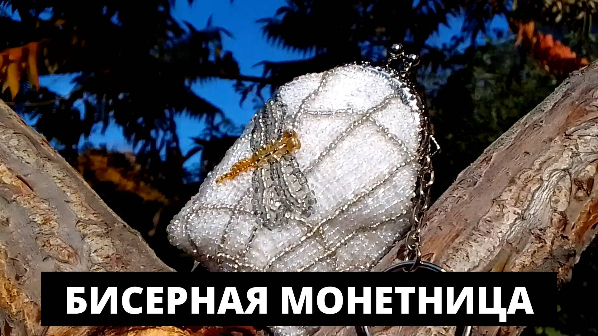 бисерная монетница