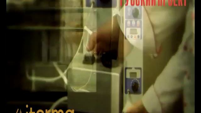 Дымогенератор Iterma SMOKER X1 (горячее копчение курицы, Итерма)