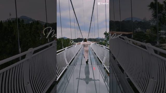 glass bridge