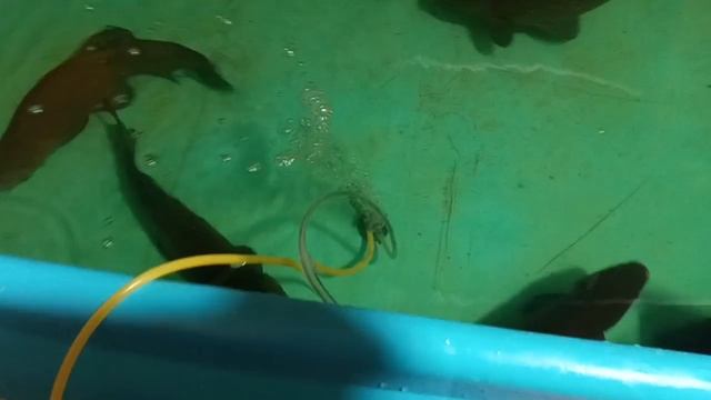 Улучшаю Систему с Линём