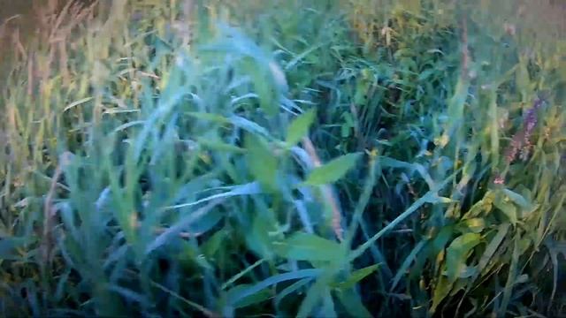 Ходовая не очень удачная рыбалка и расслабуха-гамак.