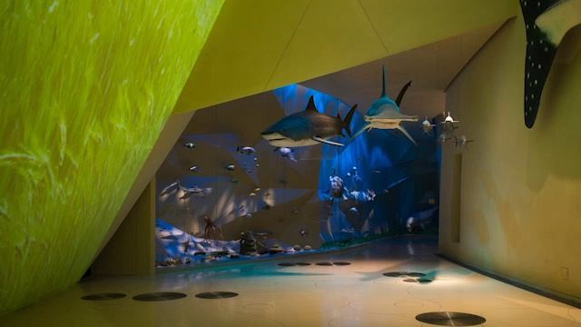 An art exhibition brochure_beehive6-project-video-unit-4