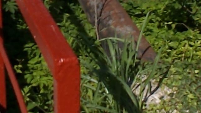 DSCN0644Отдых на море 2016  Турбаза Приморская