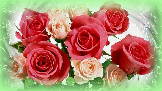 Футаж. Цветочный фон 196