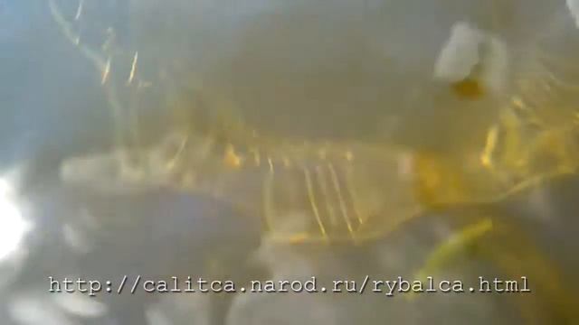 За плотвой на лодке