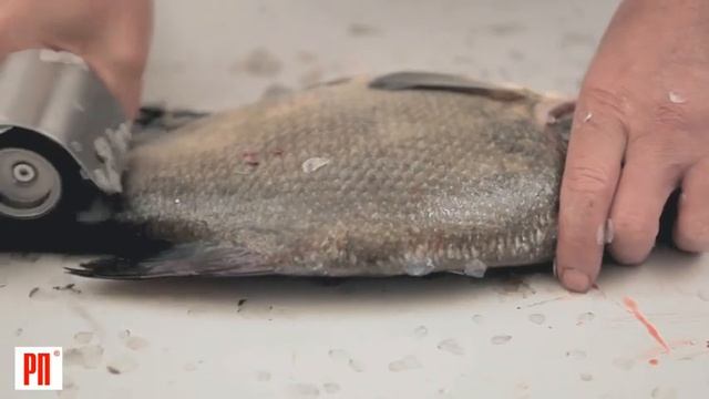 Рыбочистка KT-S (KONETEOLLISUUS)