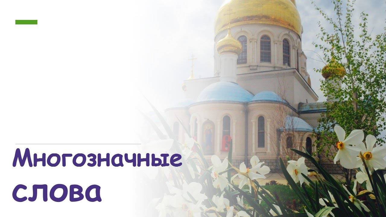 Многозначные слова и омонимы