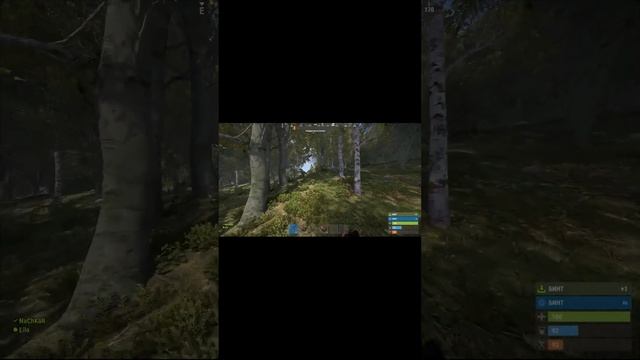 Друг на веселе в Rust. #shorts, #веселье, #пати, #тима, #Rust, #на_веселе, #друг. #rust #тиммейт