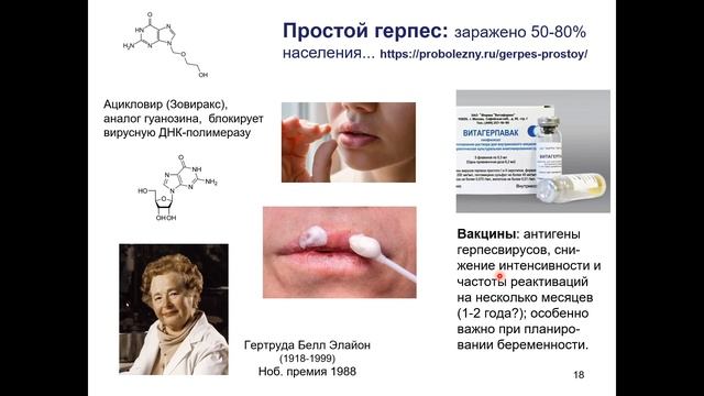 Дубынин В. А. - Физиология иммунитета - 11. Иммунитет и вирусы герпеса