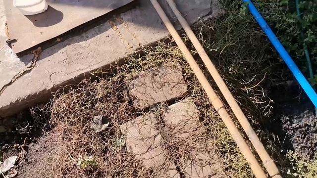 3. Скважина гидробурением, под обсадную -125 НПВХ трубу. День третий- приключенческий!