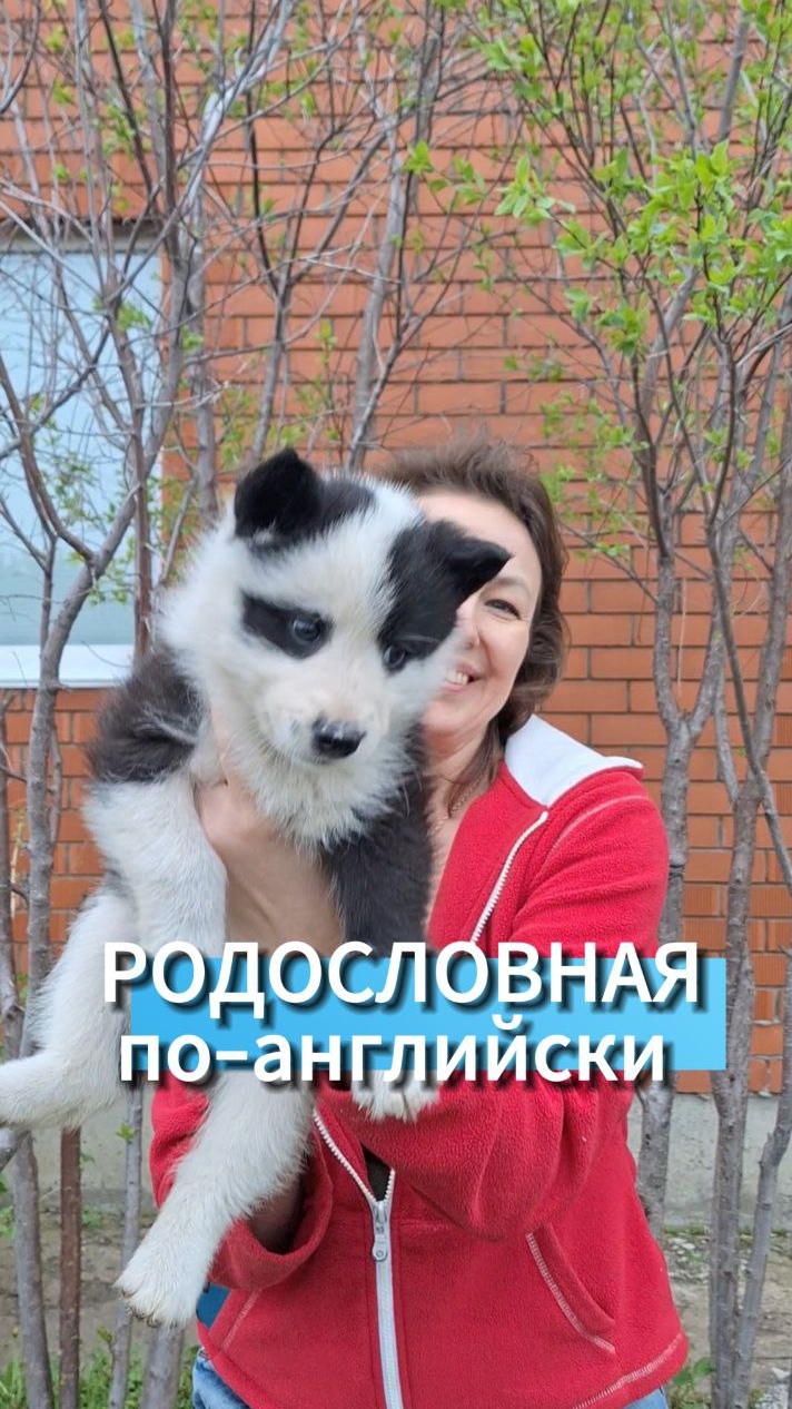 Очень знакомое слово #shorts