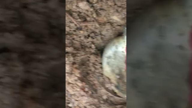 Долгожданная находка