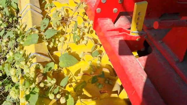 Борона ротационная тяжелая Pottinger Lion 5000  экспресс-обзор от Романа Чередниченко