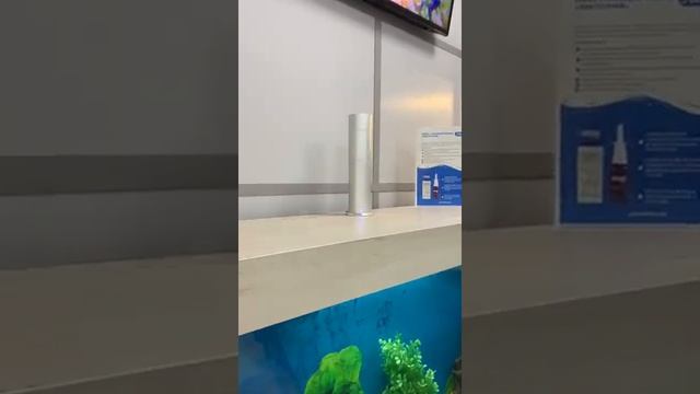 Отзыв клиника "Карат и К"