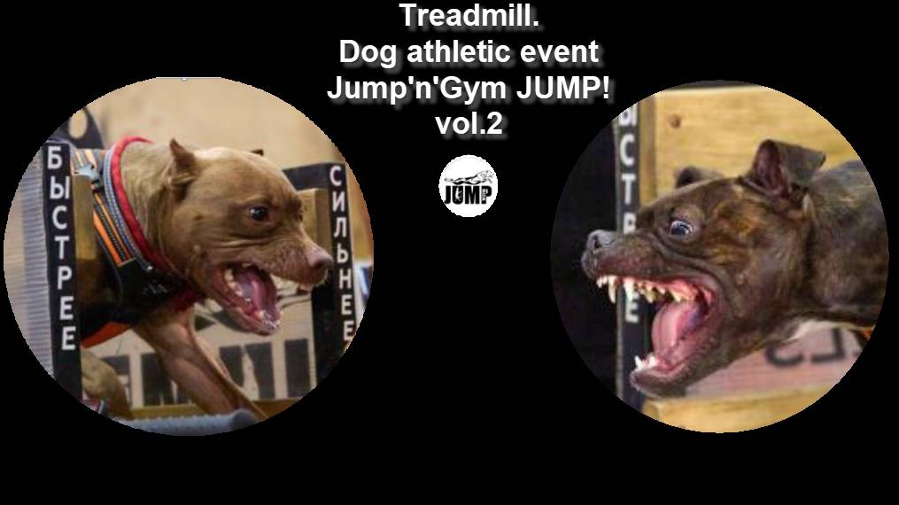 Дисциплина Treadmill (беговая дорожка) на пит-стафф многоборье Jump'n'Gym JUMP! vol.2