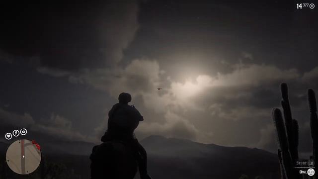 RDR2 Калифорнийский сыч