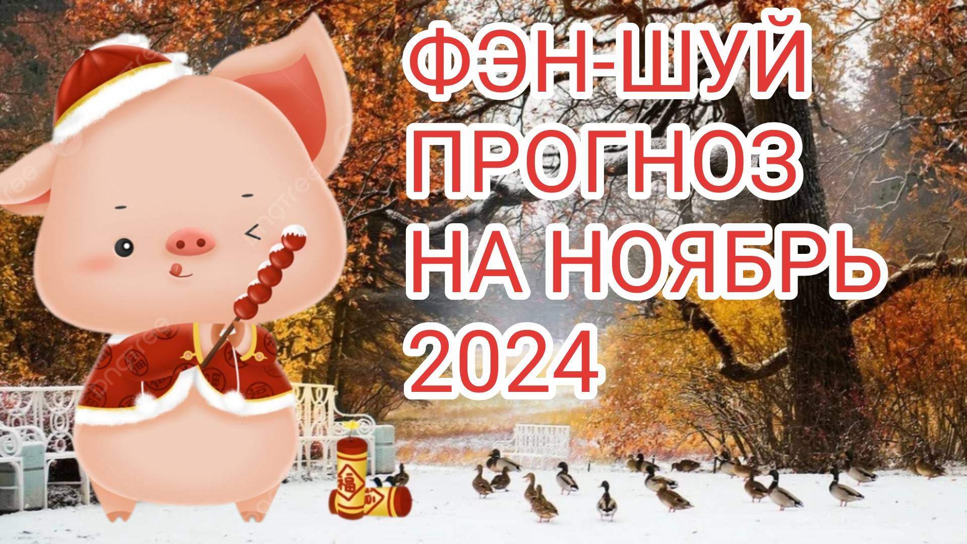 ФЭН-ШУЙ ПРОГНОЗ НА НОЯБРЬ 🐷МЕСЯЦ ДЕРЕВЯННОЙ СВИНЬИ#11