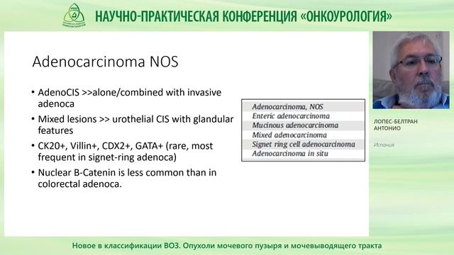 Белтран Новое в классификации ВОЗ  Опухоли мочевого пузыря и мочевыводящего тракта ч 2