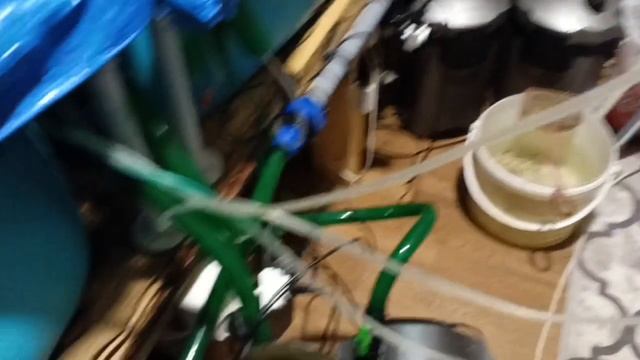 Зимовка Линя подготовка