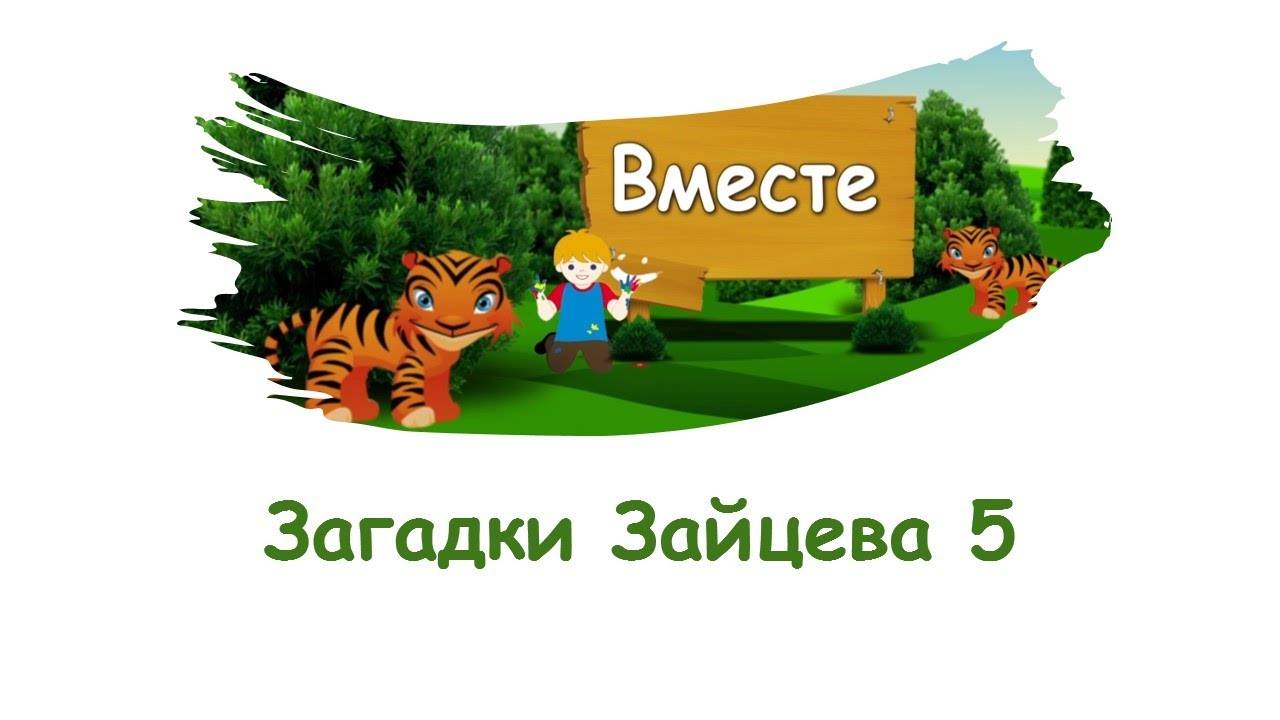 Загадки Зайцева 5