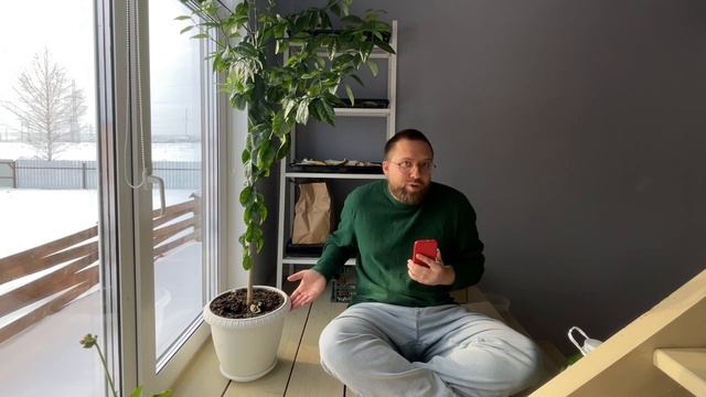 Как вырос мандарин за 3 года