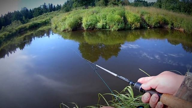 Река Желча 2020