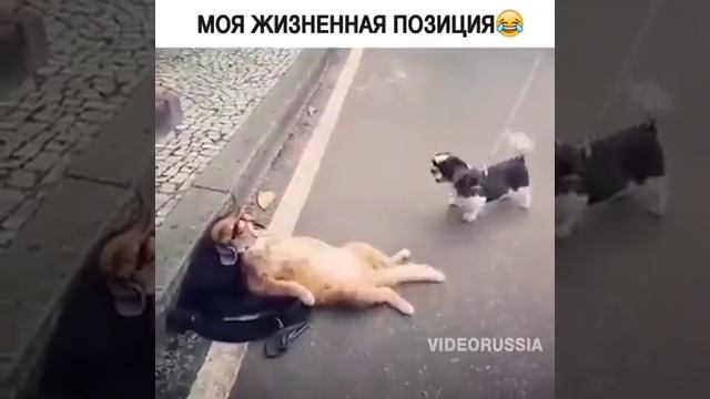 А мне пофиг