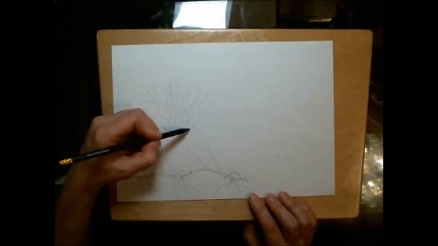 Размножение спиреи с помощью отводок и деления куста. #сад #ландшафтныйдизайн