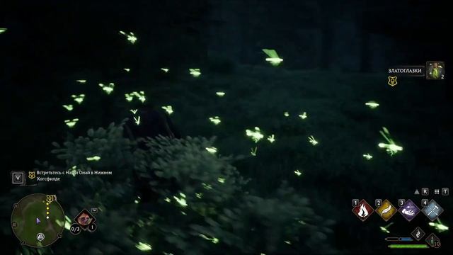 Hogwarts Legacy - Наследие Прохождение 6 Серия